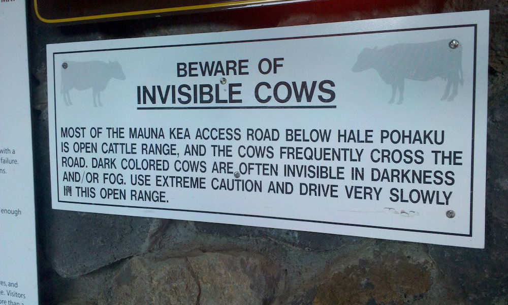 14 Unusual Warning Signs You Won't Find in Your Neighborhood - Big Picture